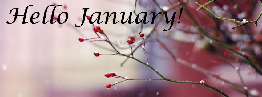 Hello January seasonal Facebook Cover Maker Fbcoverlover.com