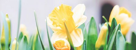 Facebook Covers, Find the best covers for your Timeline